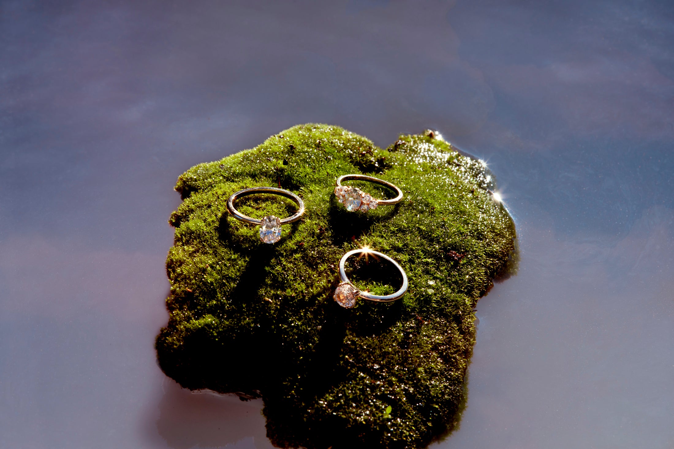 The Ultimate Guide to Richmond's Most Romantic Proposal Spots – Nine Roses