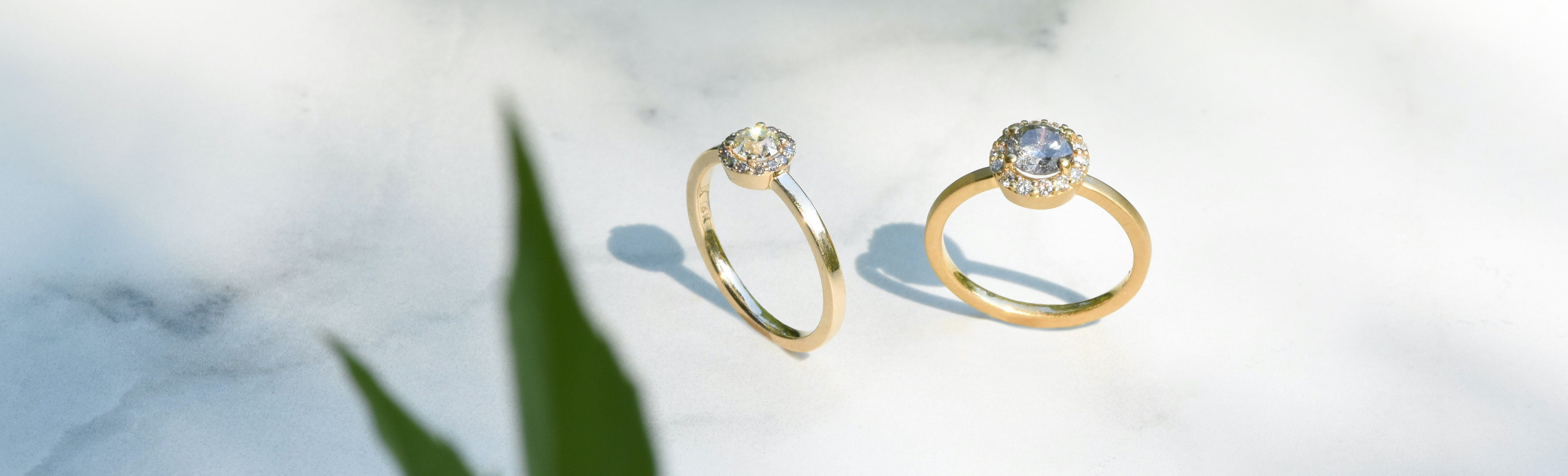 Heirloom Rose Collection – Nine Roses